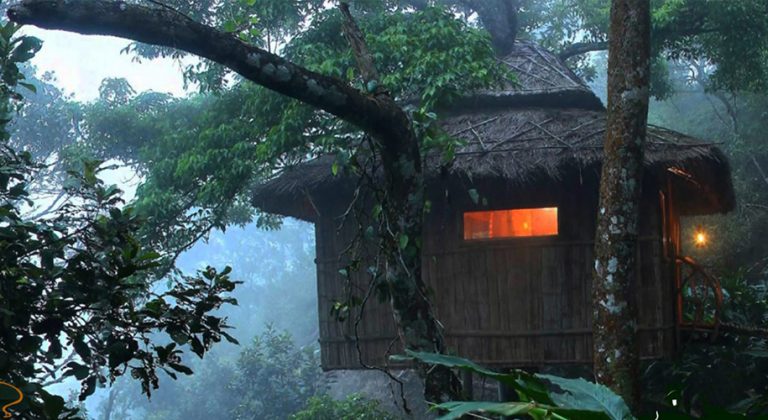 Best Tree Houses in India | Popular Tree House