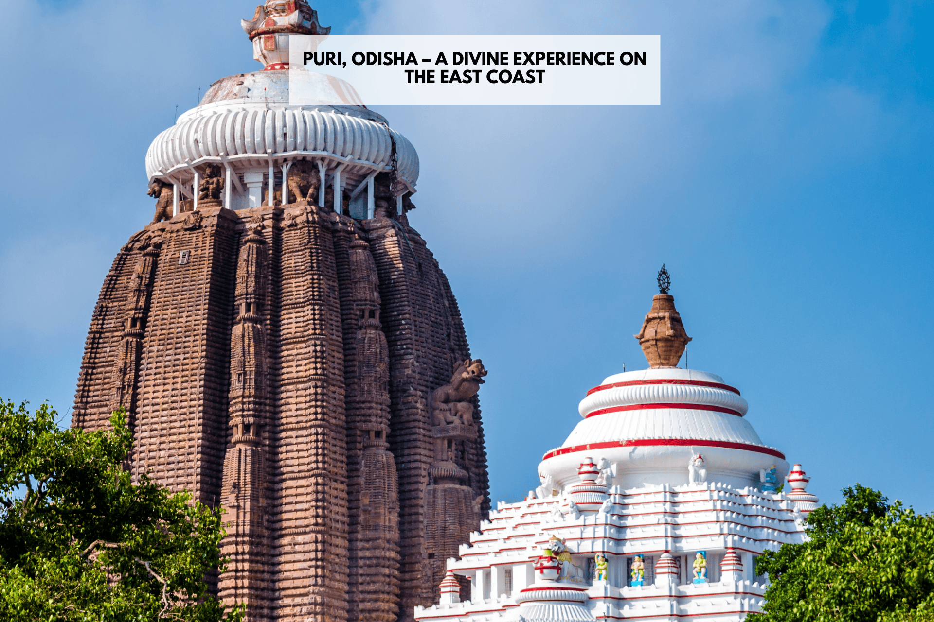 8. Puri, Odisha – A Divine Experience on the East Coast | Travel Blog ...