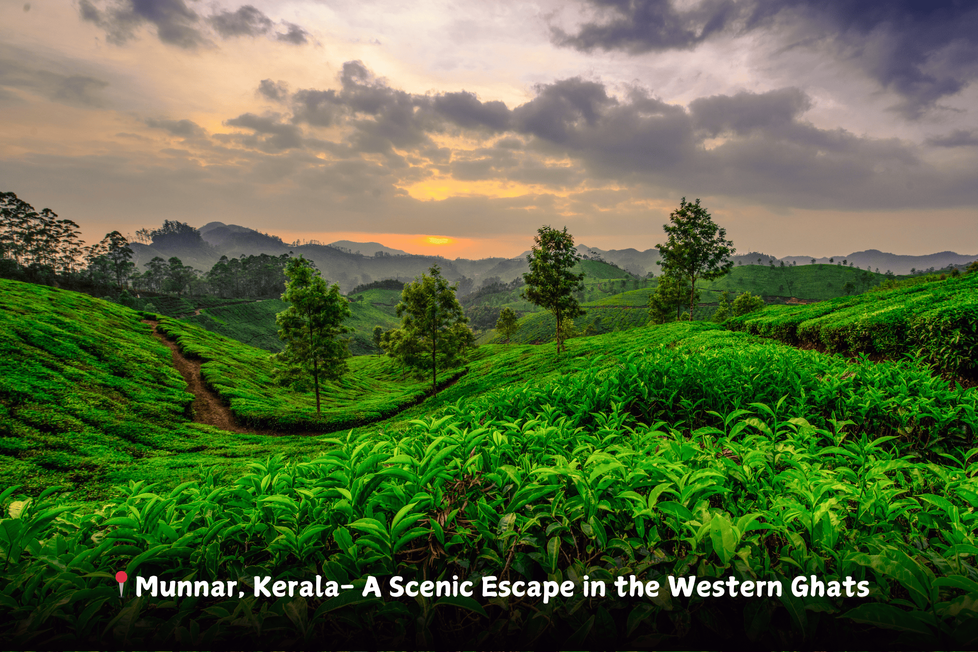 Munnar, Kerala – A Scenic Escape in the Western Ghats | Travel Blog ...